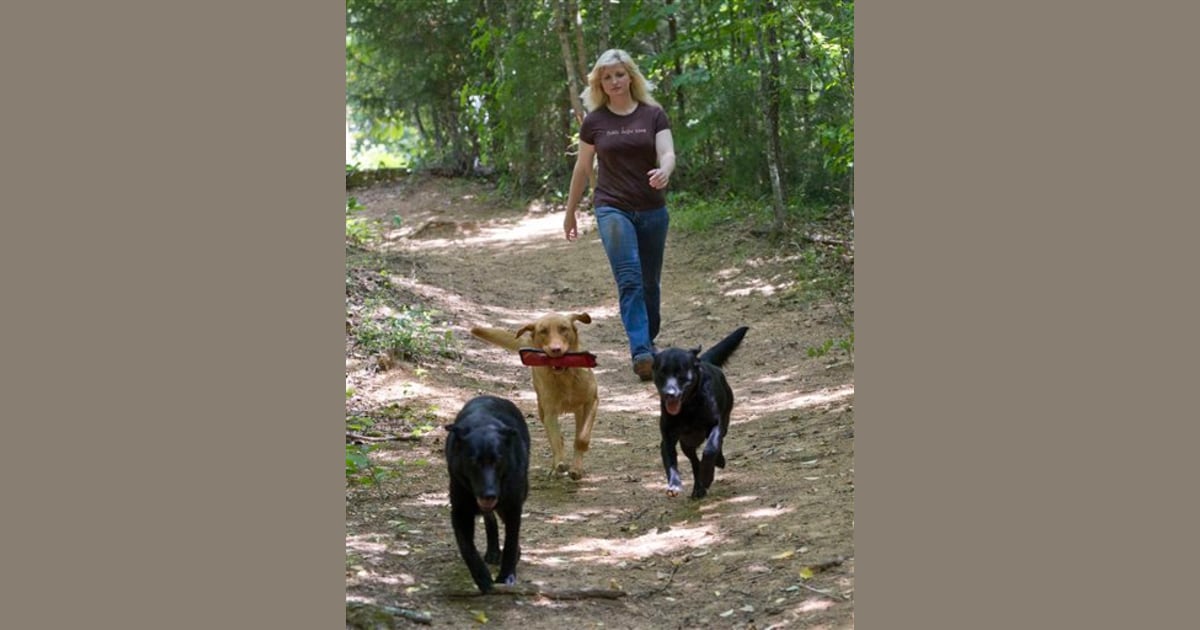 For working dogs, retirement can be a challenge