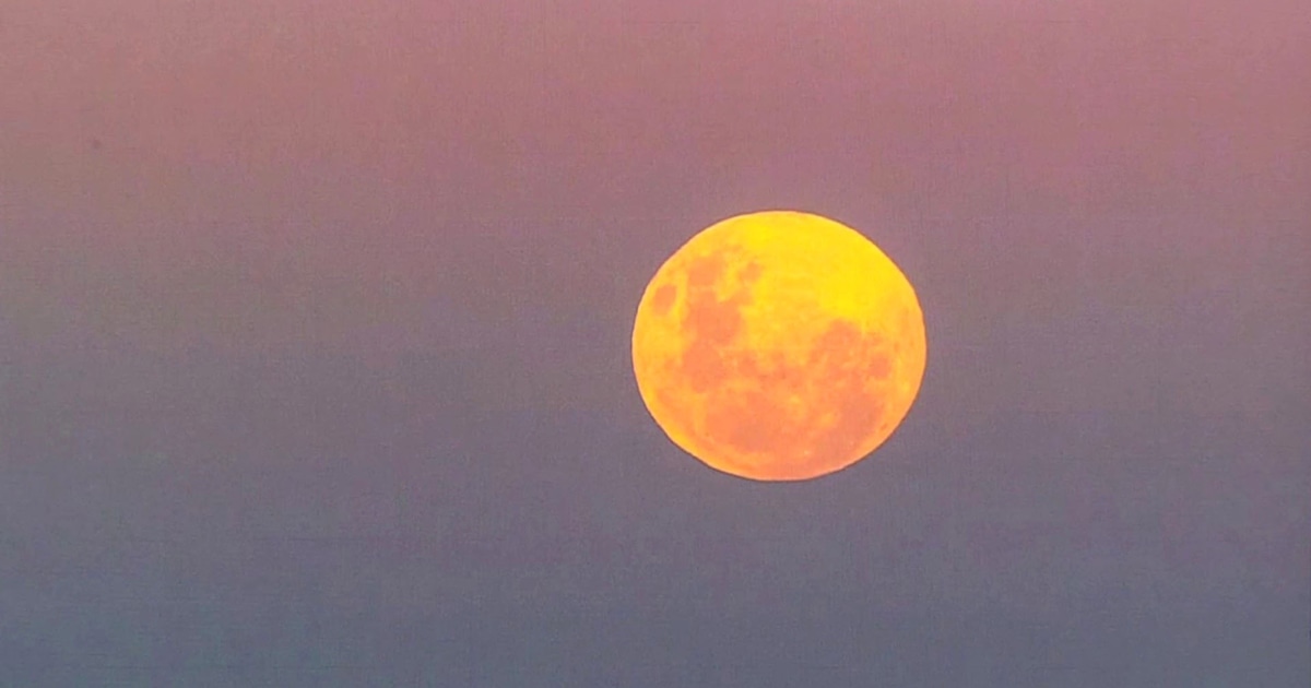 Super Flower Blood Moon explained