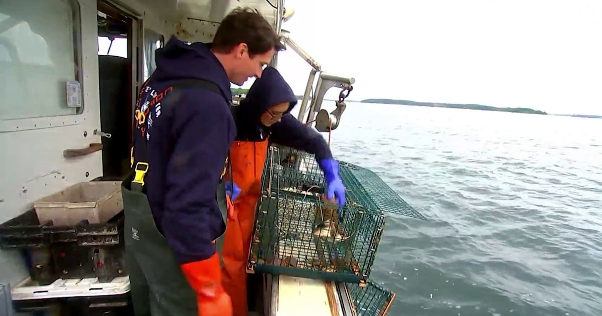 Meet the man behind Luke’s Lobster