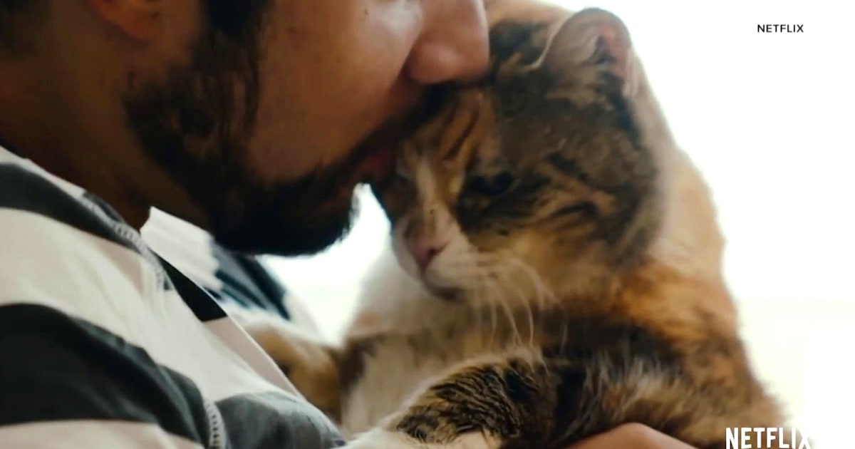 Netflix series ‘Cat People’ examines bonds between humans and their pets