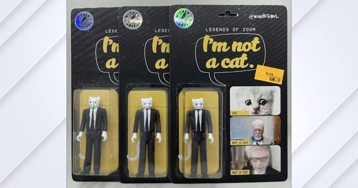 Viral cat filter lawyer Rod Ponton gets his very own action figure