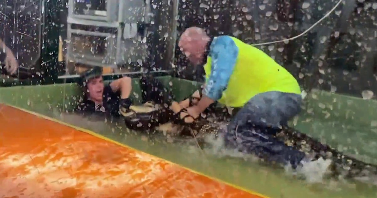 Man jumps into gator tank to save handler, and more Highs and Lows