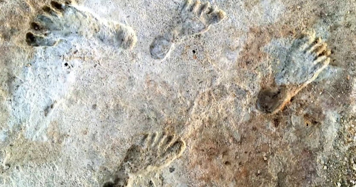 Oldest human footprints in North America found in New Mexico