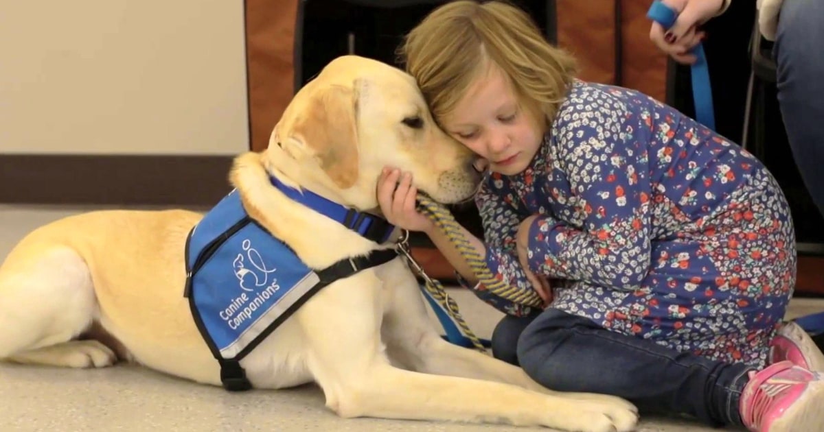 This organization matches service animals with people with disabilities