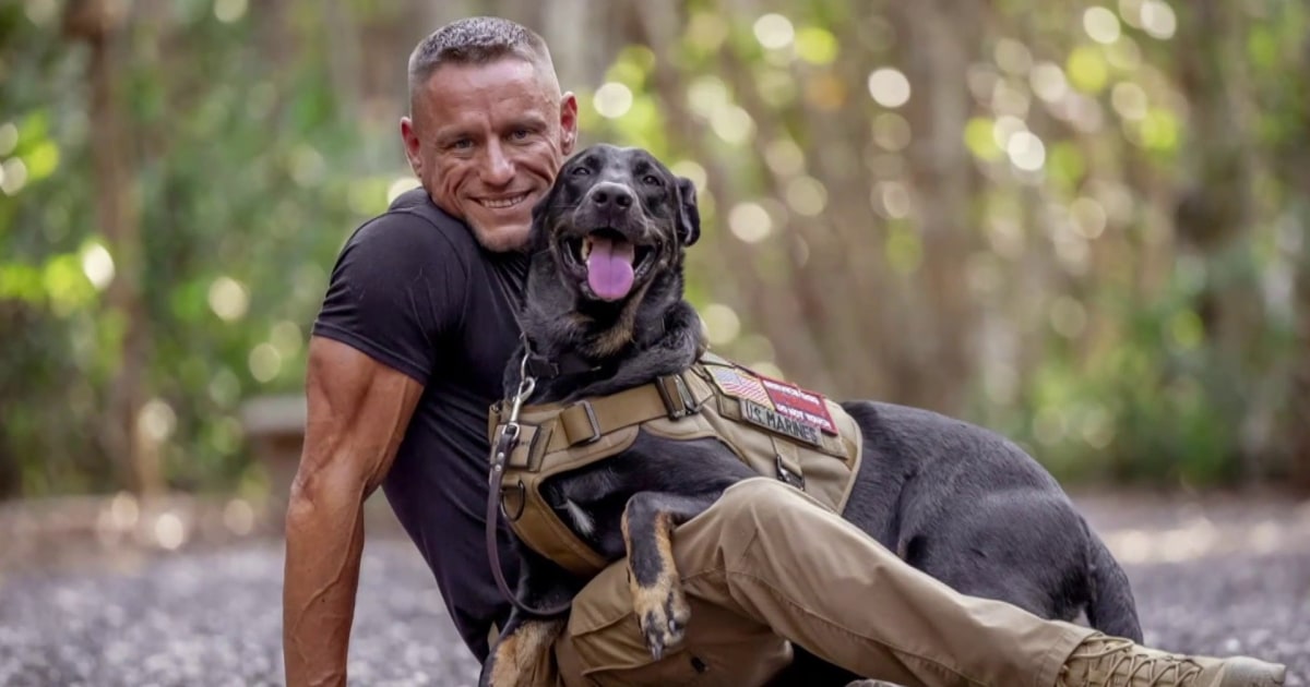 How service dogs are helping veterans cope with PTSD