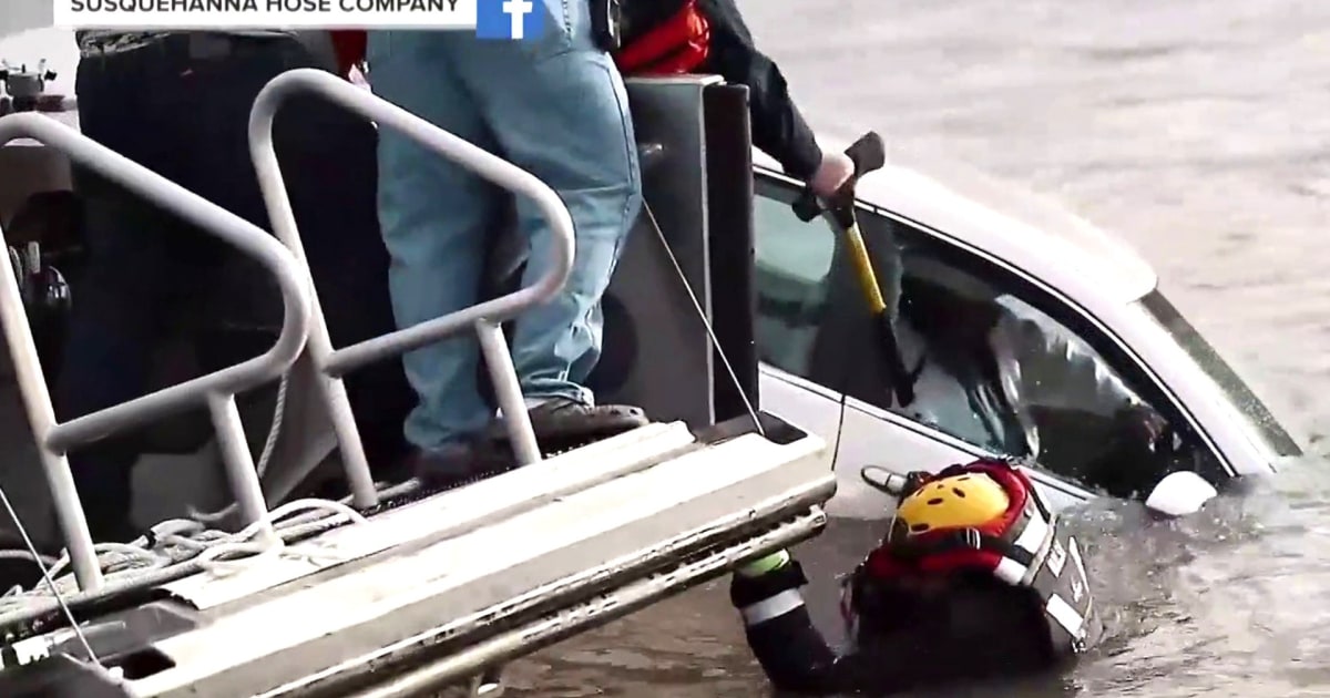 Caught on camera: Driver rescued from sinking car