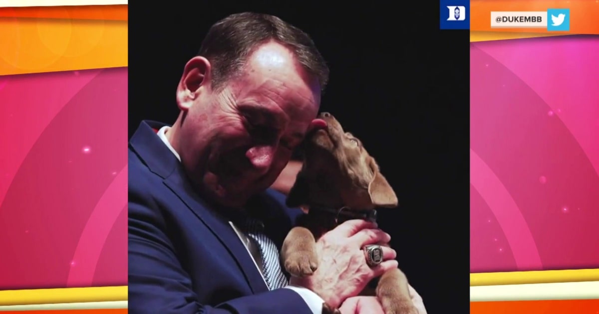 Duke’s Coach K surprised with adorable puppy for retirement