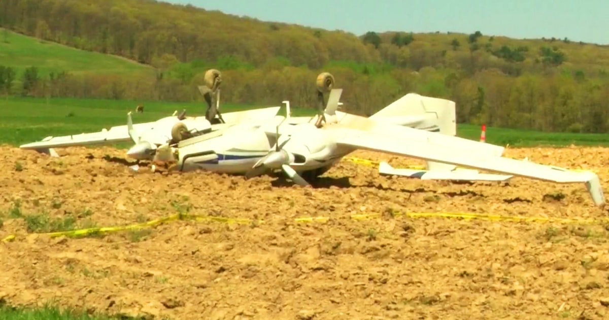 Small plane flips during emergency landing