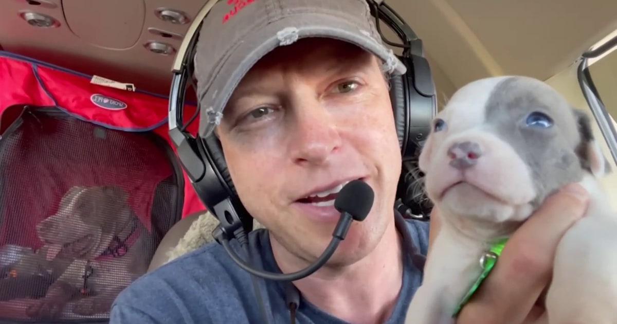 How 'Pilots to the Rescue' is saving pets lives one flight at a time