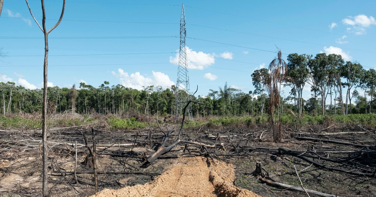 Inside the broad ripple effects of illegal gold mining in the Amazon