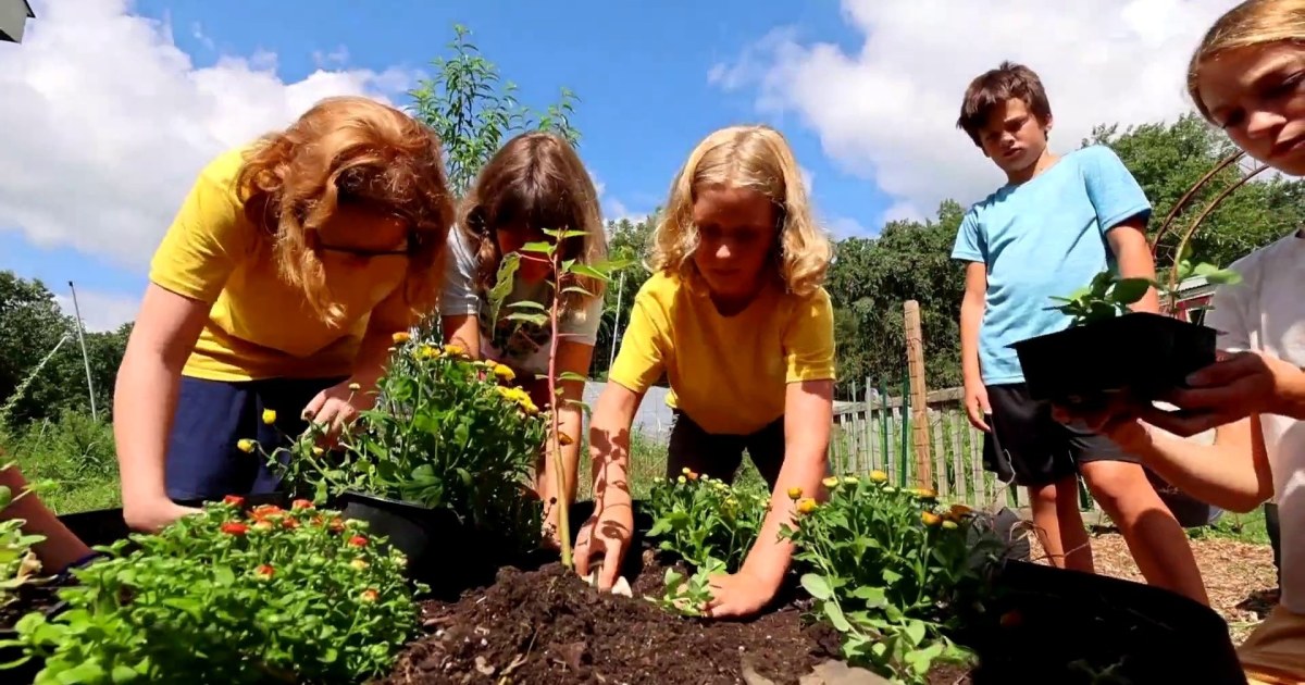 Freetown Farm is cultivating veggies — and nurturing communities
