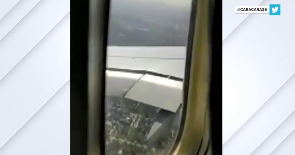 Plane forced to land after bird hits engine