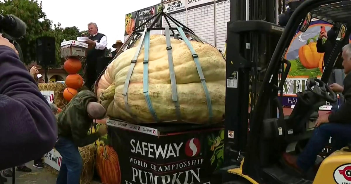 2,560 pound pumpkin squashes competition at annual contest