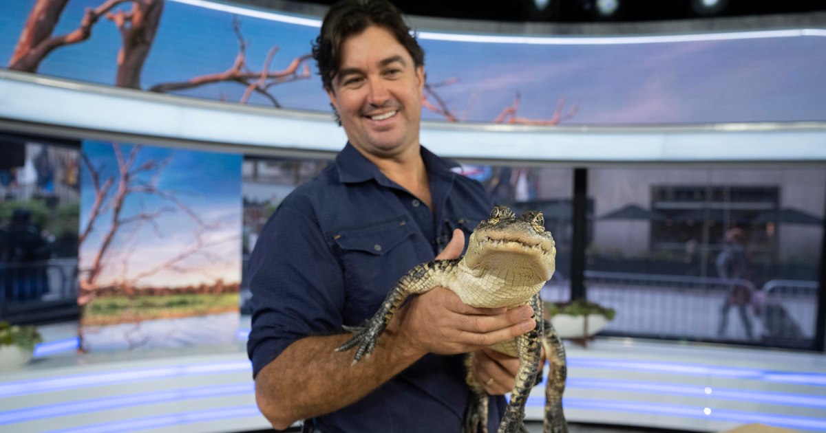 Matt Wright talks ‘Wild Croc Territory,’ shows off large reptiles