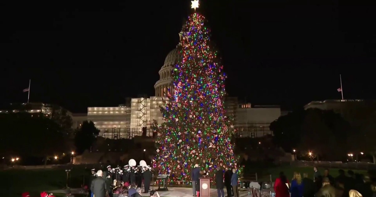 The US Capitol Tree is lit! See the red spruce shine
