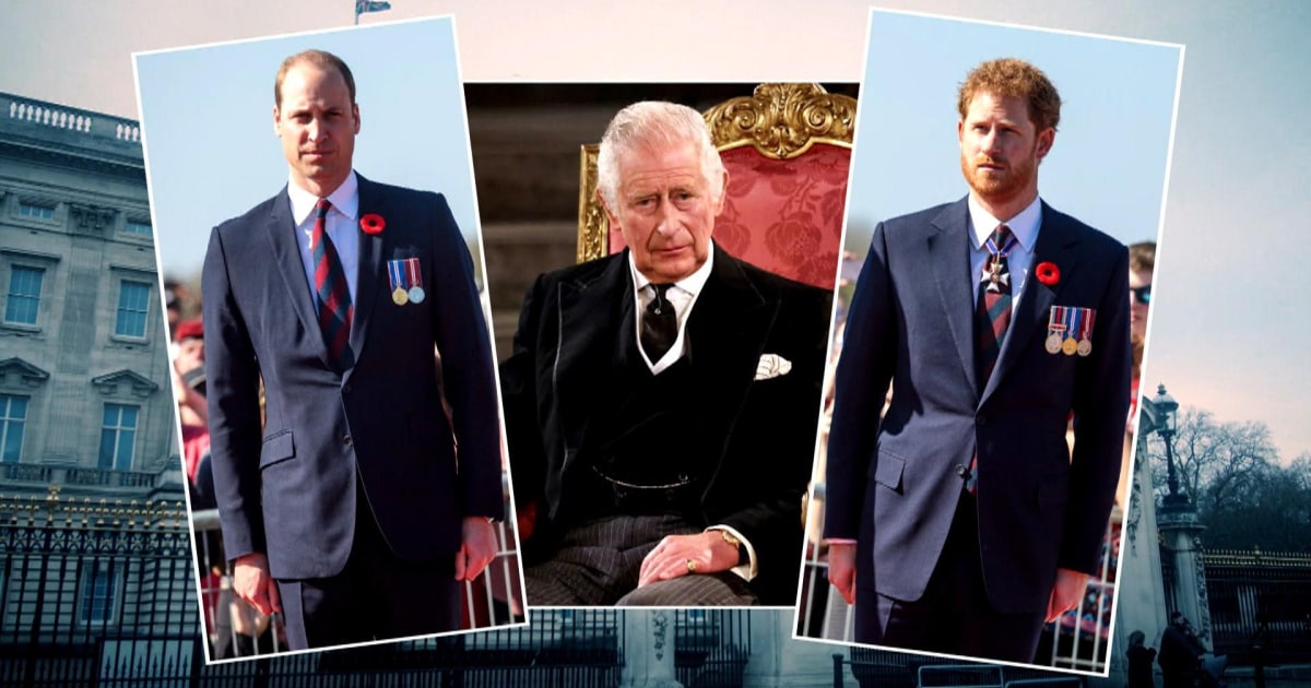 Prince Harry alleges Prince William physically attacked him in 2019