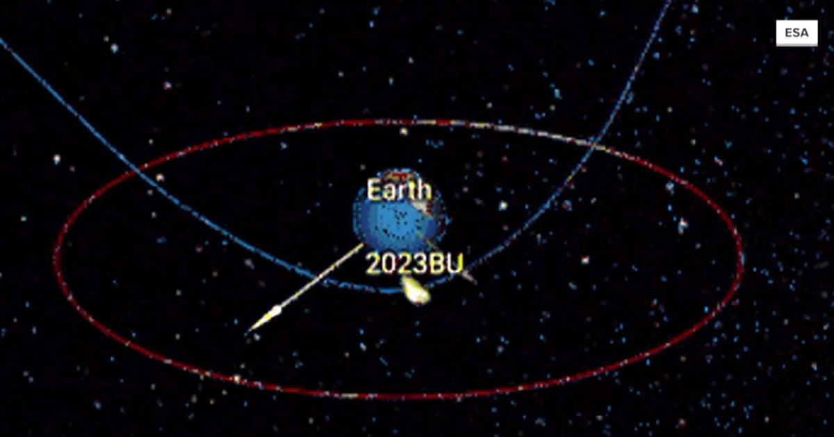 Asteroid has 'very close encounter' with Earth