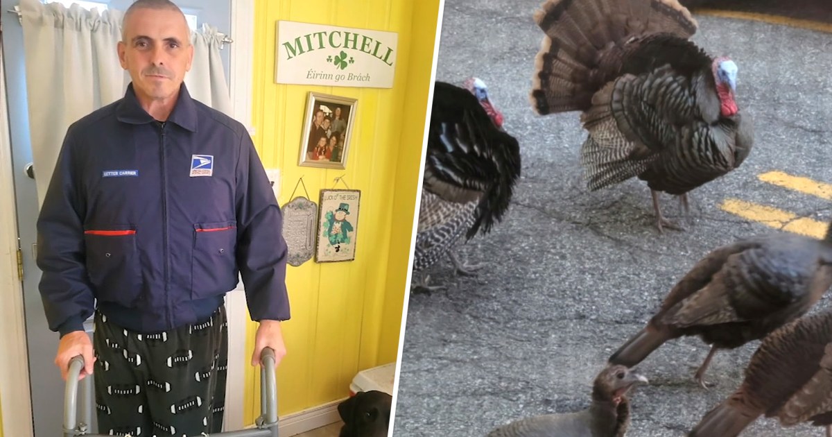 Turkey attack leaves mailman with broken hip: ‘I could not stand up’