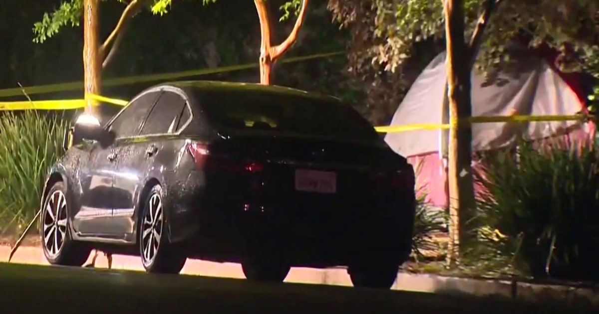 UC Davis classes after 6pm go remote after string of stabbings