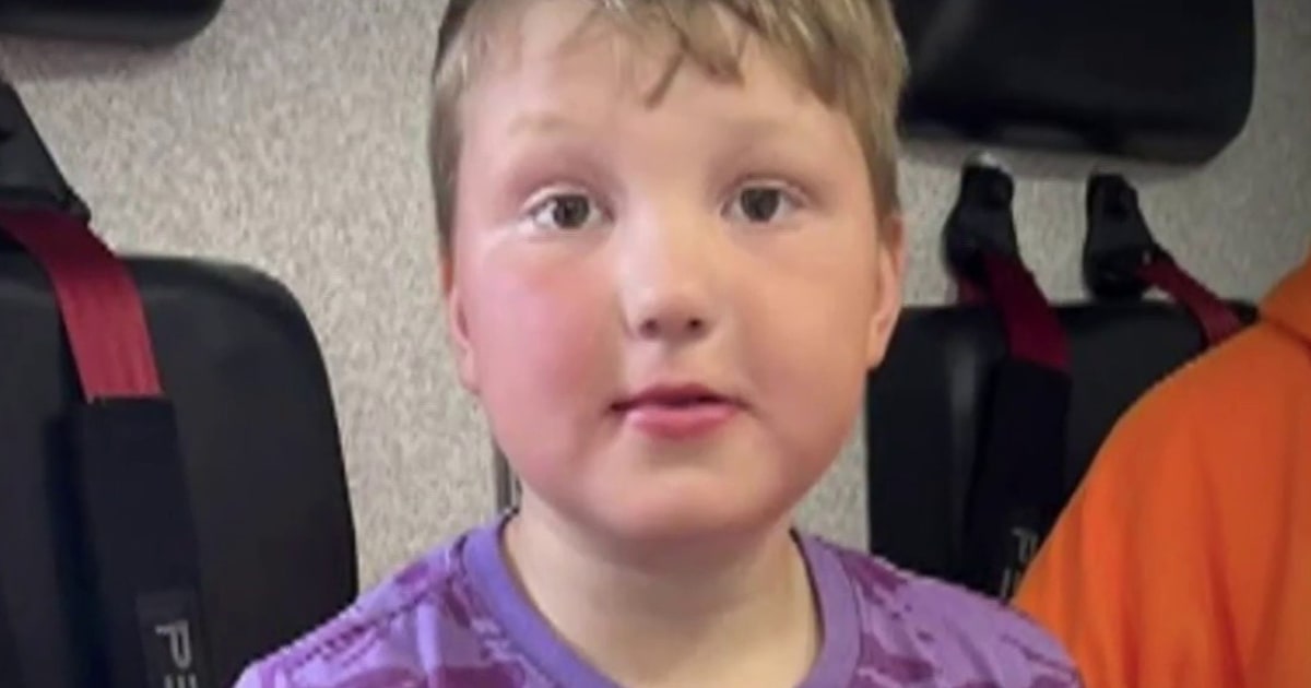 2nd grader missing for days in Michigan woods found safe