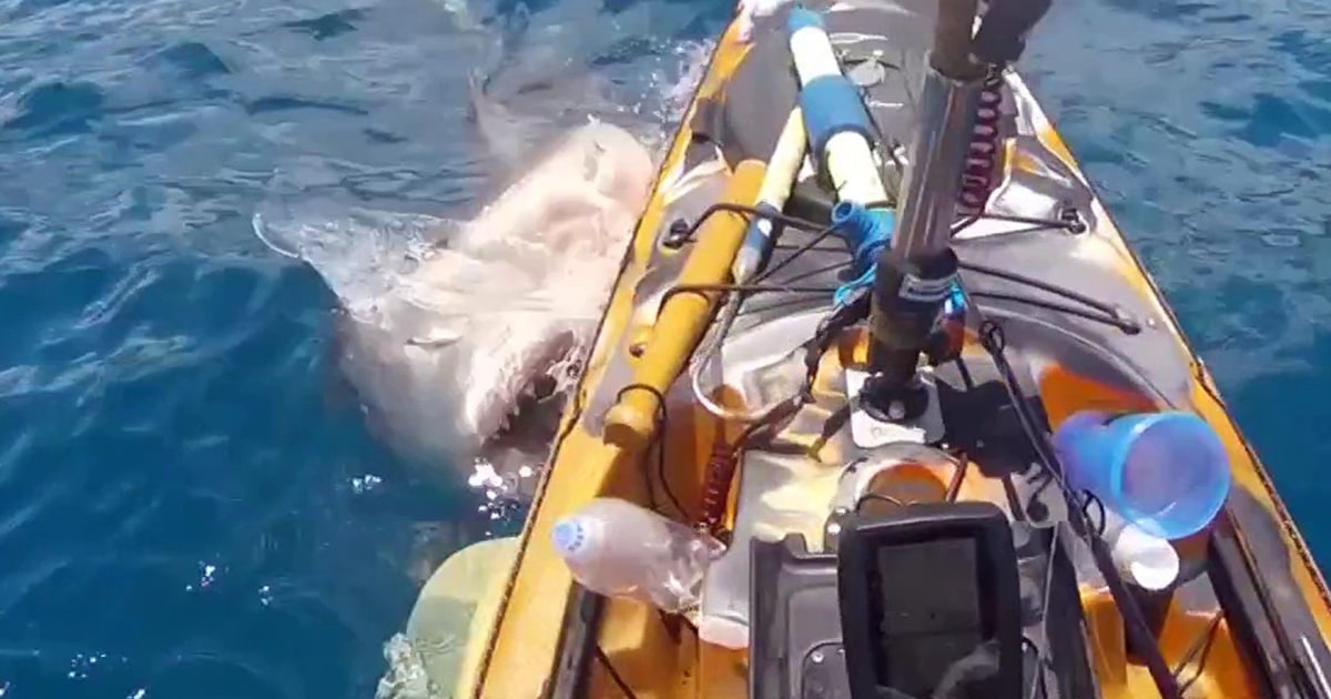 Hawaii shark attack survivor recounts ordeal