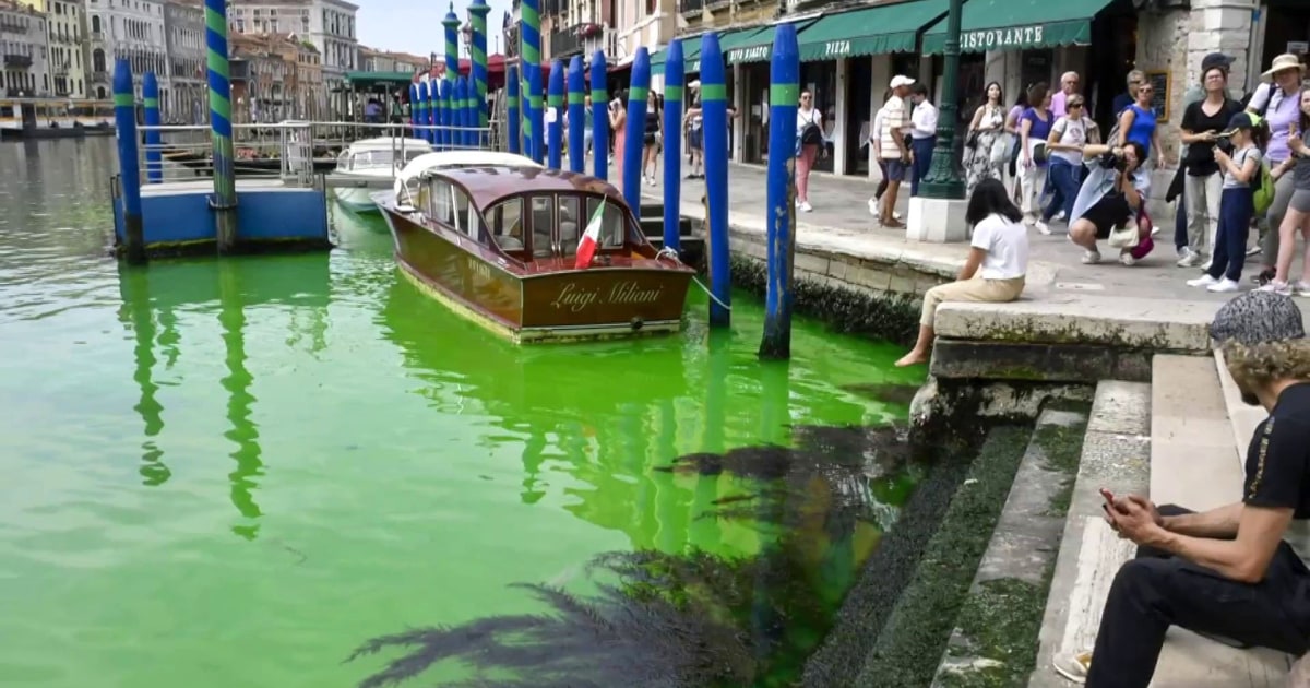 Venice’s Grand Canal mysteriously turns fluorescent green