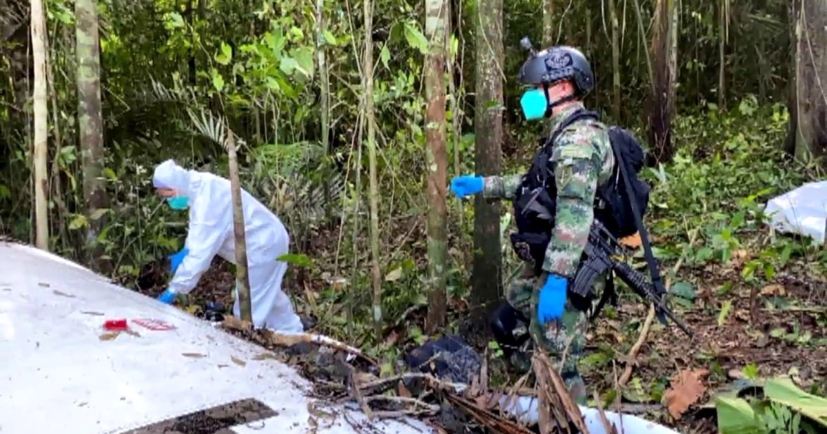 Amazon plane crash: New report sheds light on remarkable survival
