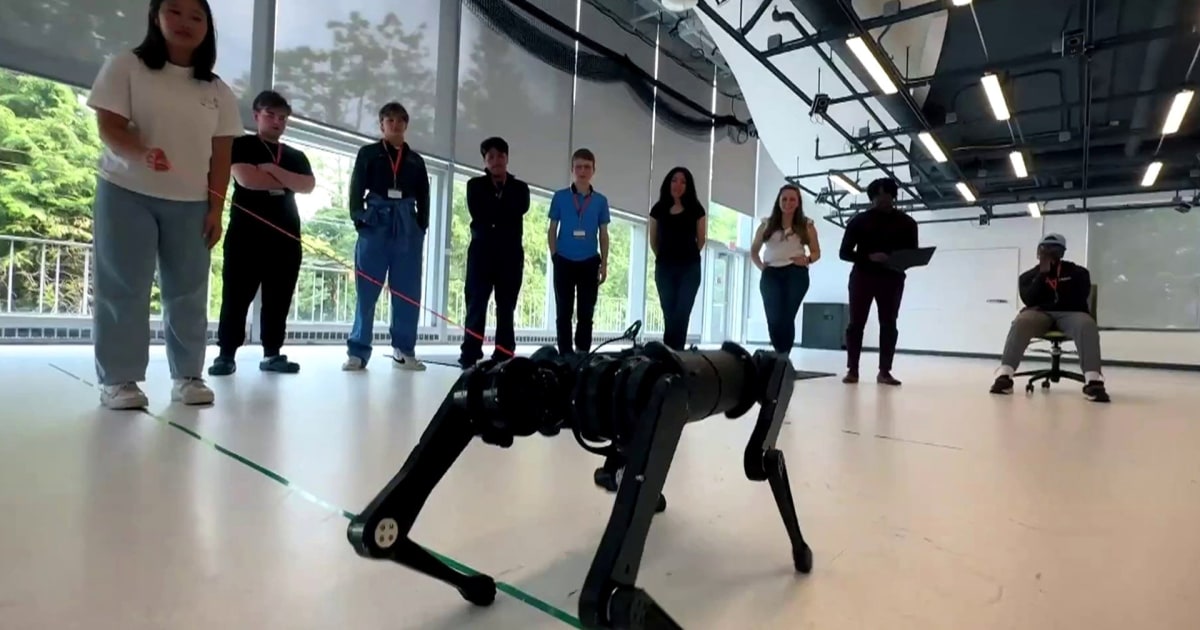 How the summer program AI4ALL is helping reshape the future