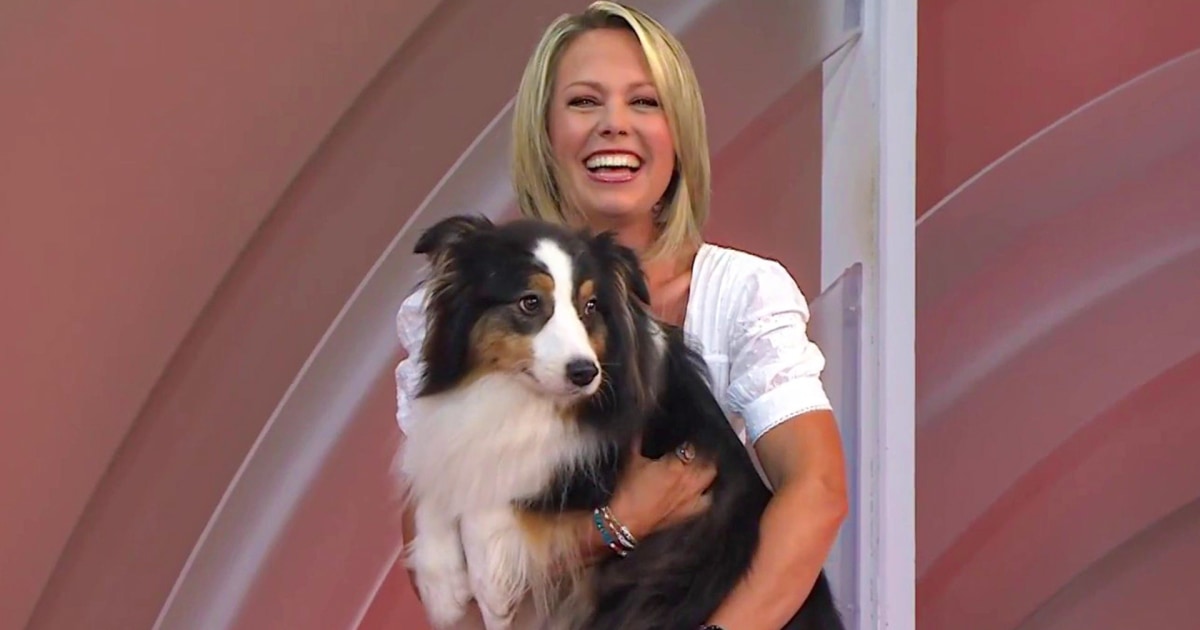 Meet the dog stars from the new ‘Strays’ movie