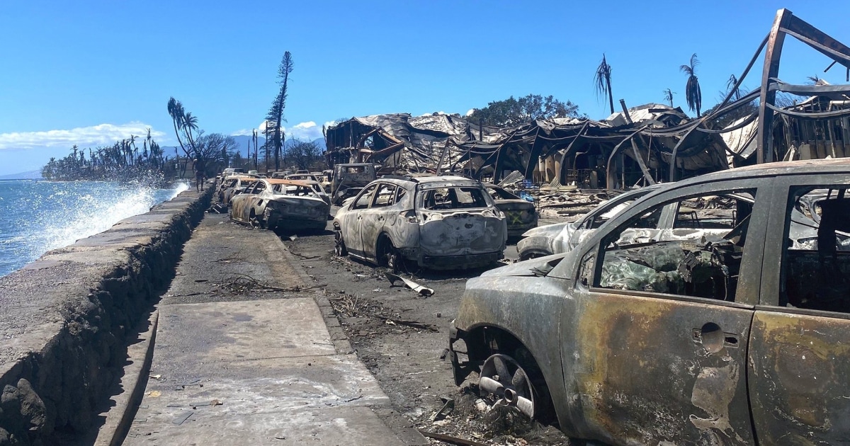 FEMA official on Maui recovery efforts, challenges of infrastructure