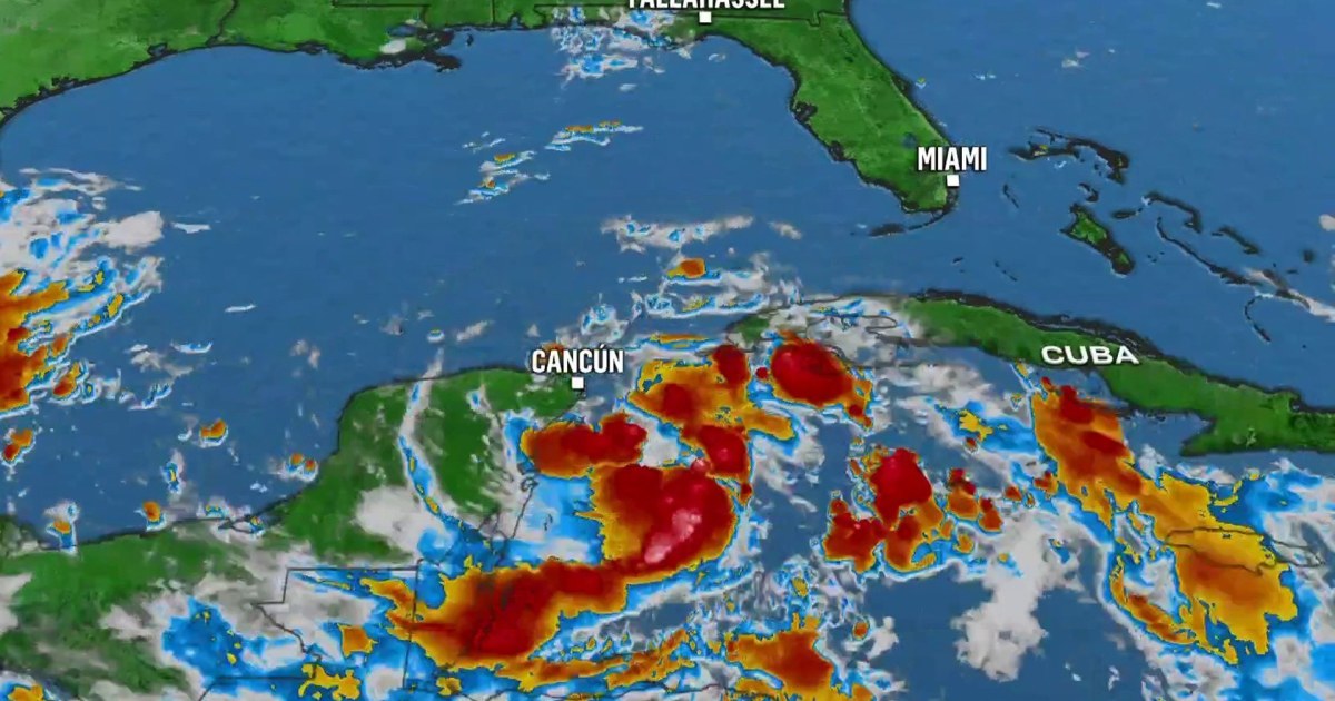 Tropical storm system expected to hit Florida as Category 1 hurricane