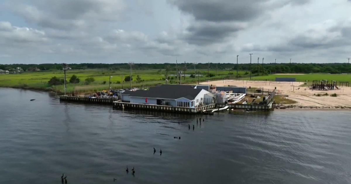 Long Island project aims to save oyster industry and environment