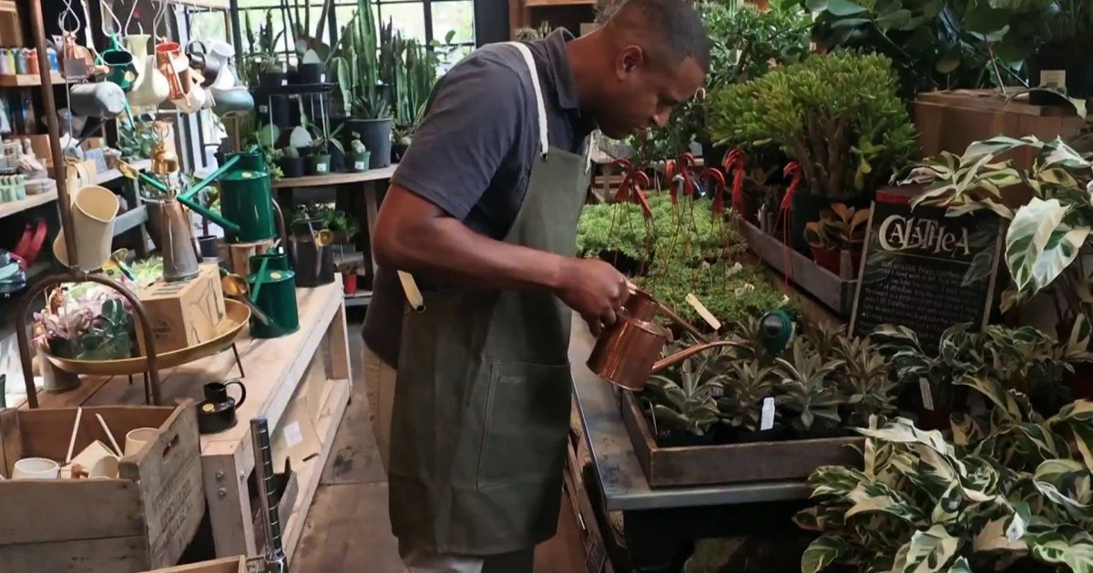 Craig Melvin gets a green thumbs up as a plant shop employee