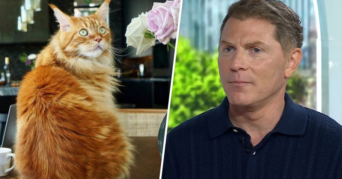Bobby Flay talks about his cat Nacho: 'I love him so much'