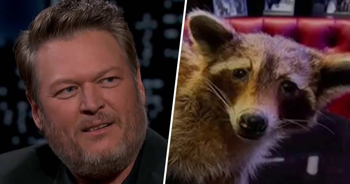 Blake Shelton reveals he gave Carson's daughter a stuffed raccoon