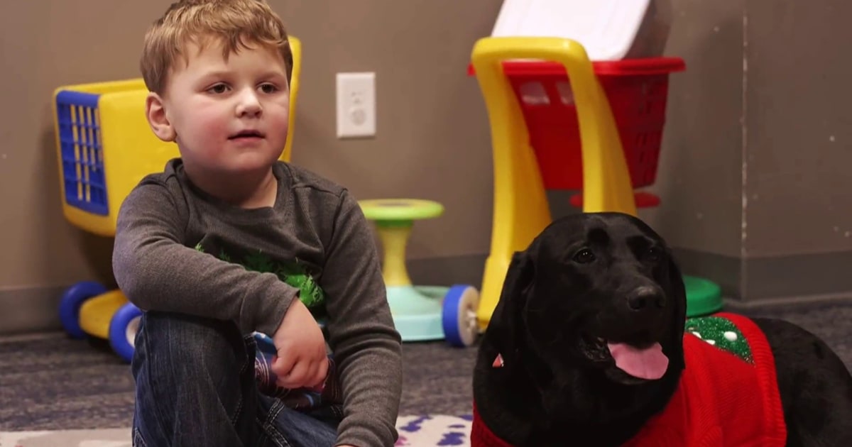 School with beloved therapy dog gets sweet holiday surprise