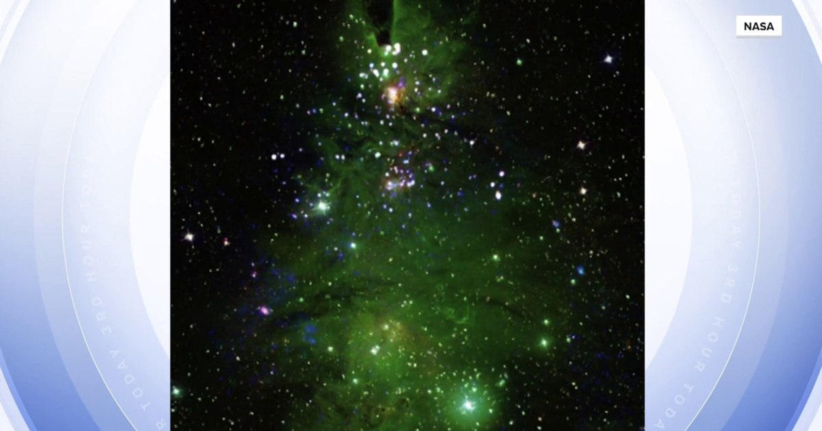 NASA dubs new group of stars the 'Christmas Tree Cluster'