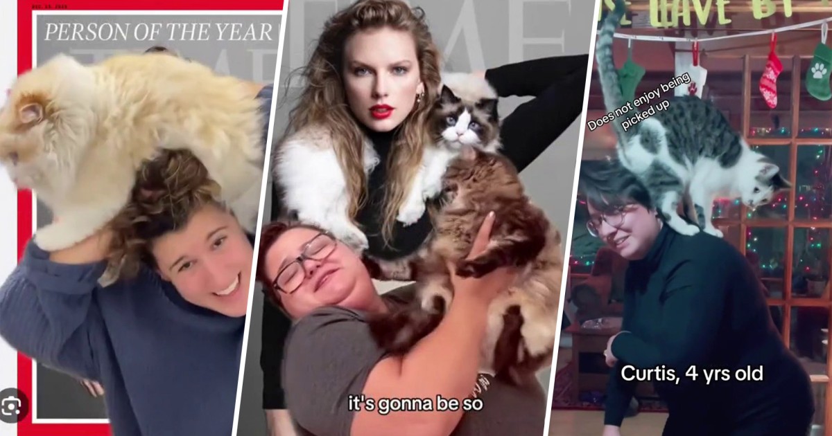 Taylor Swift fans attempt to recreate her Time cover with their cats