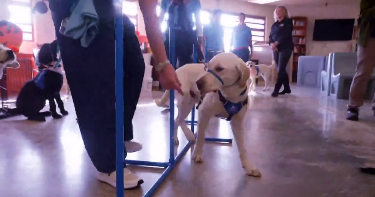 California prisoners find purpose thanks to some very good dogs