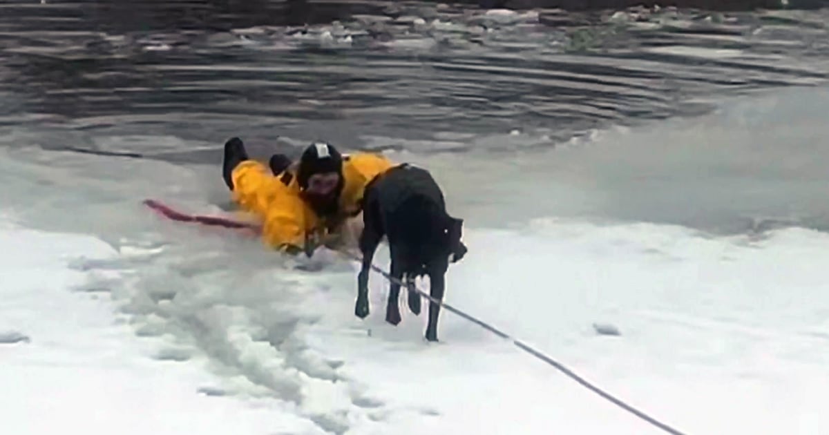Watch: Firefighters rescue dog from icy pond near Salt Lake City