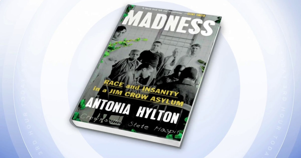 Antonia Hylton talks passion behind new book 'Madness'