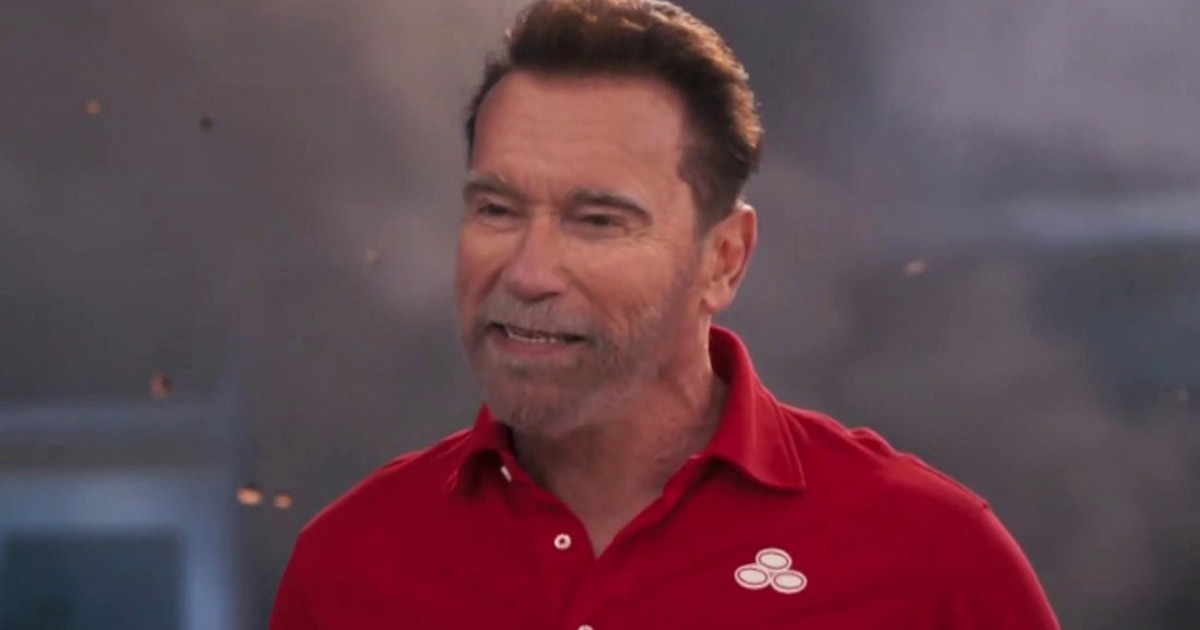 See Arnold Schwarzenegger in Part 1 of State Farm Super Bowl ad