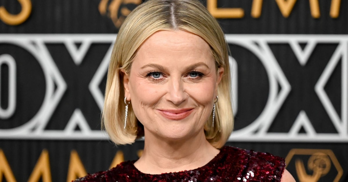 Amy Poehler shares Galentine’s Day message on TikTok