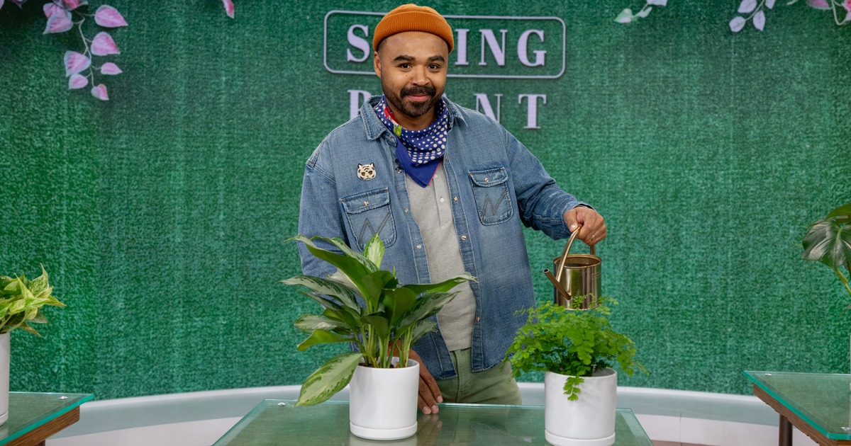 How to help your plants thrive as the seasons change