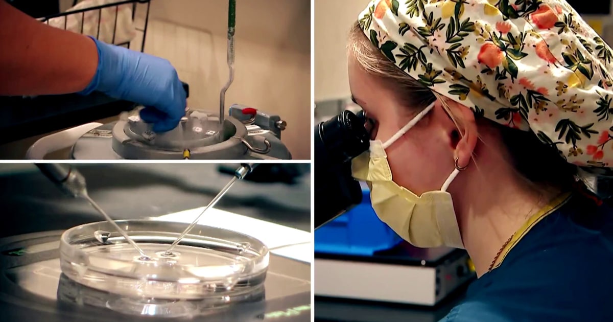 Alabama Gov. signs IVF law: What it means for families and clinics