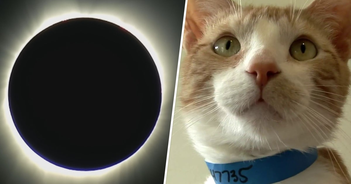 How to protect your eyes during total solar eclipse