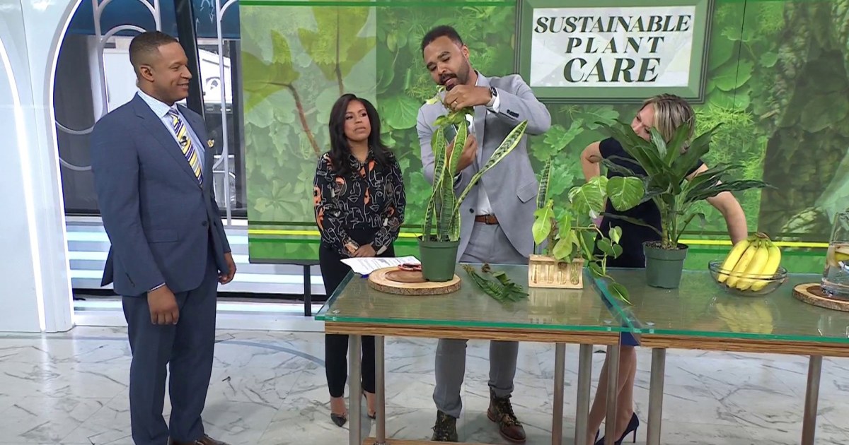 How to use an existing plant to grow a healthy new one