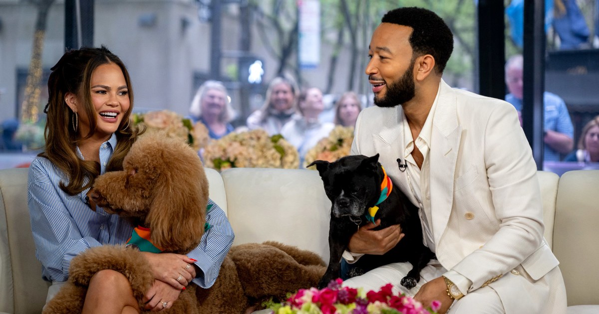 Chrissy Teigen and John Legend launch pet food brand Kismet