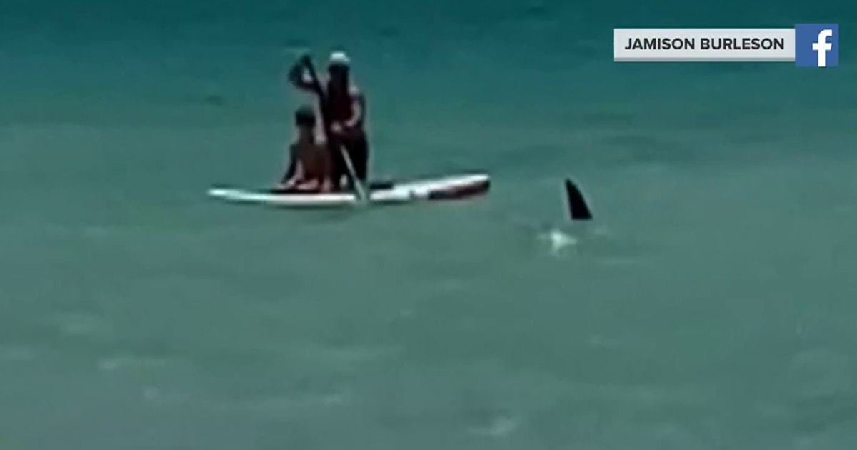 3 people injured in 2 shark attacks at neighboring Florida beaches
