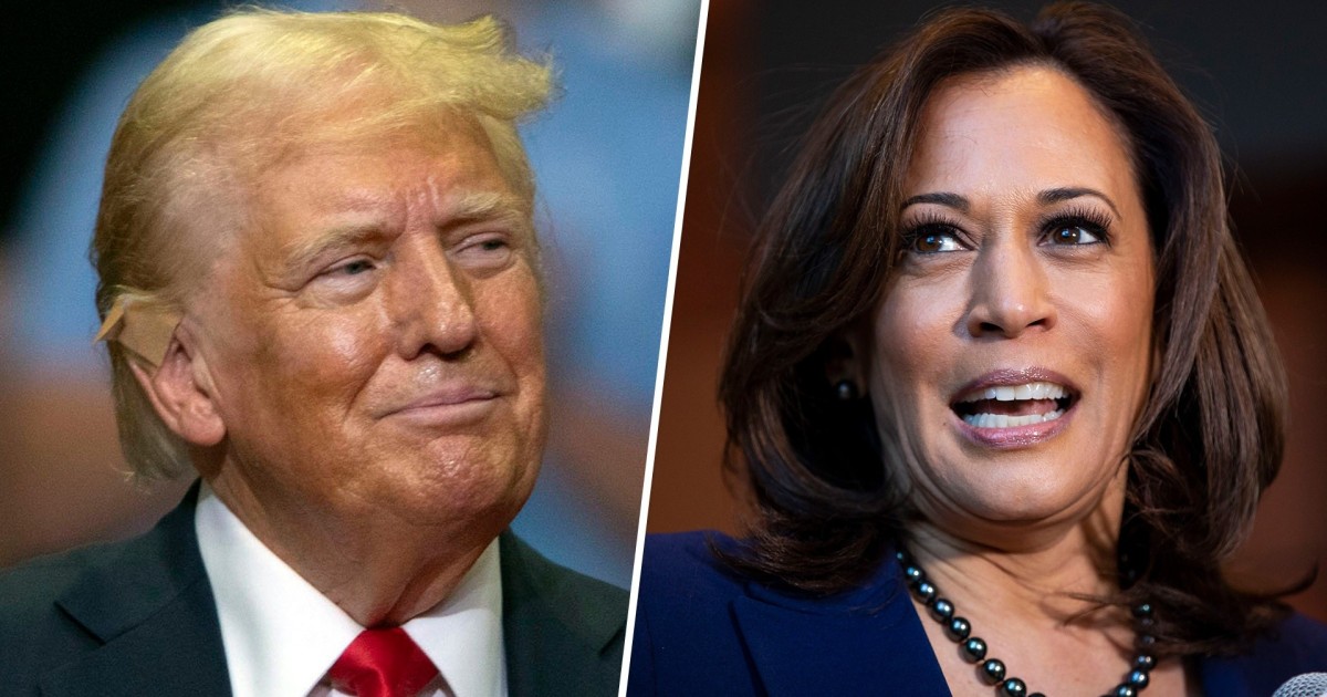 How does Kamala Harris stack up against Trump in the polls?